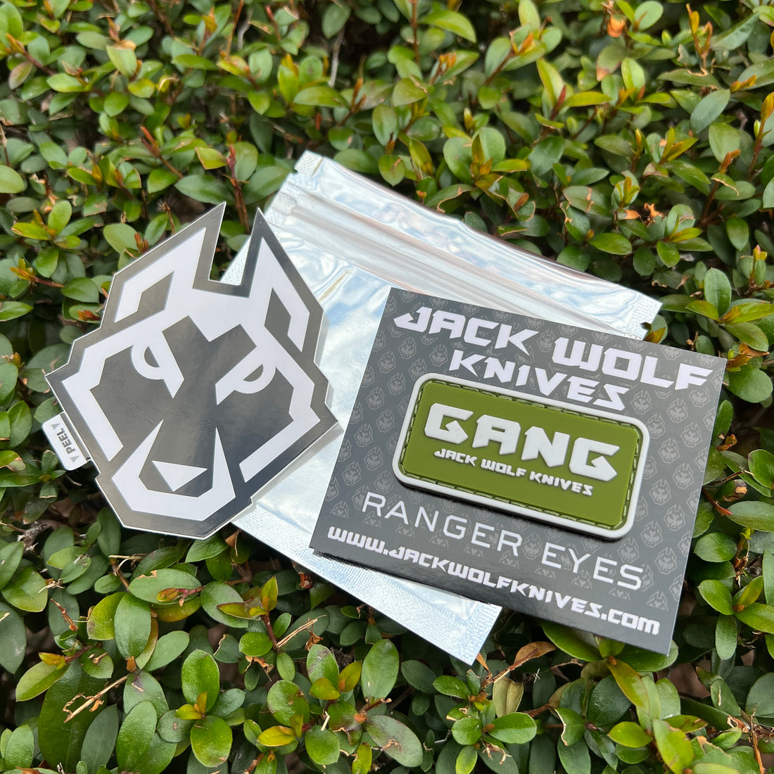 Ranger Eyes & Patches